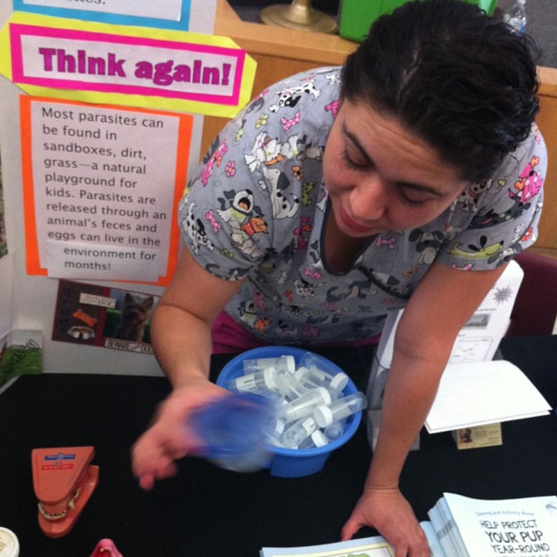 Community Services - Vet in Rialto | Rialto Cat Hospital